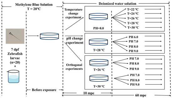 Quantifying Variability in Zebrafish Larvae Locomotor Behavior across Experimental Conditions: A ...