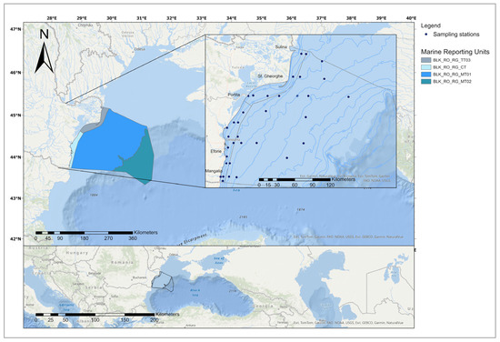 From Waters to Fish: A Multi-Faceted Analysis of Contaminants ...