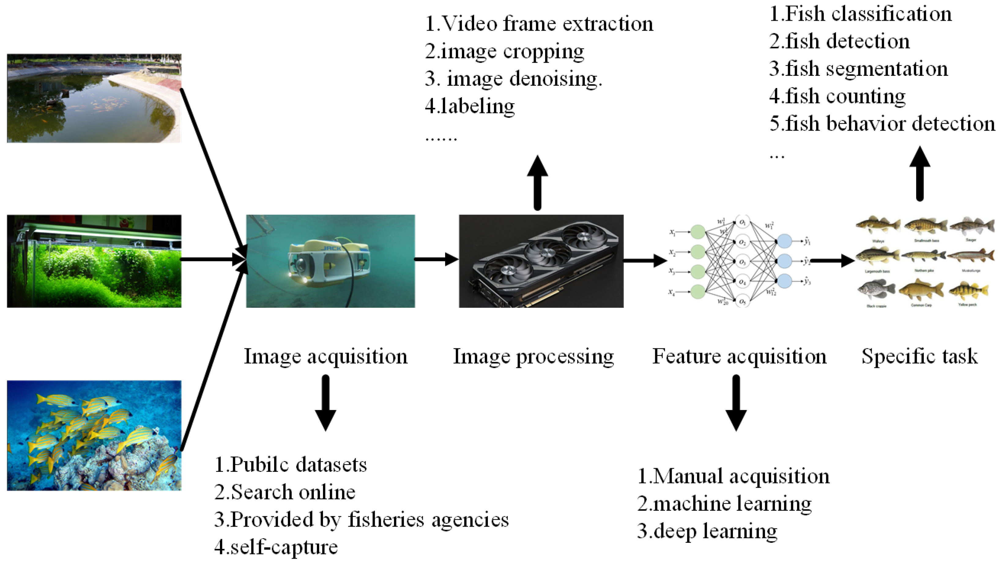 Fishes | Free Full-Text | An Intelligent Fishery Detection Method Based ...