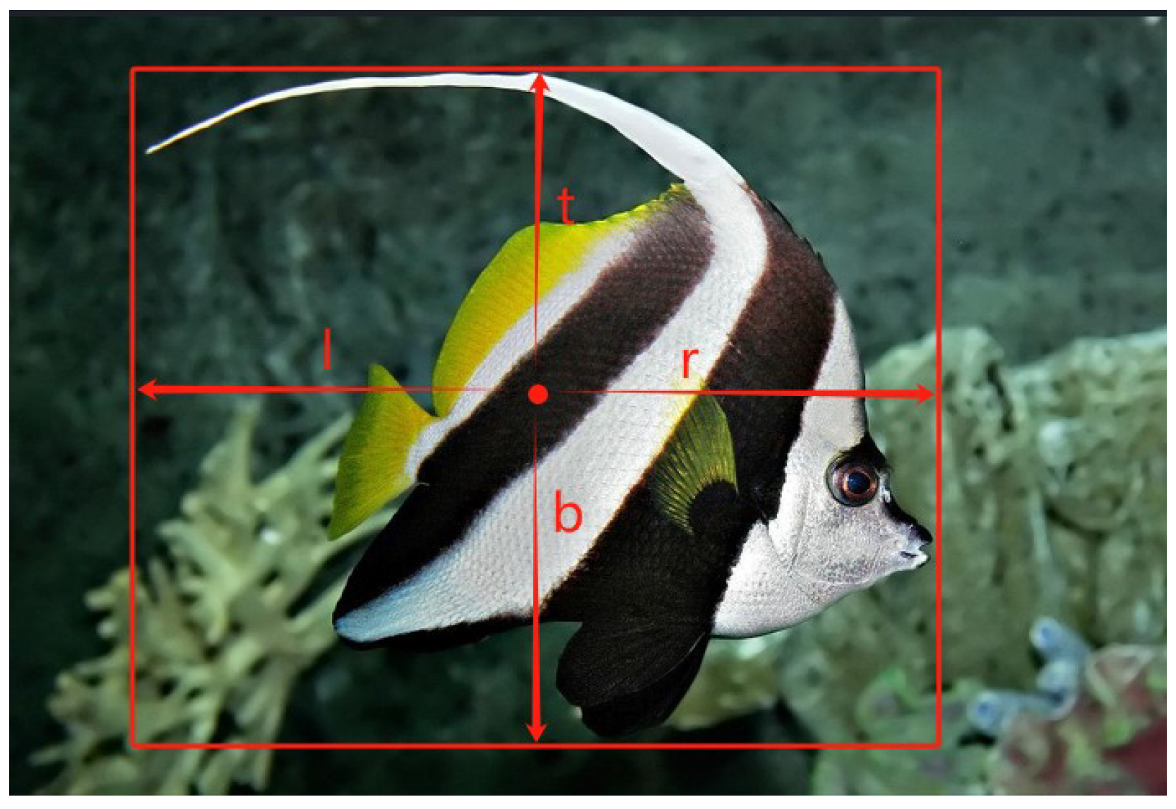 An Intelligent Fishery Detection Method Based on Cross-Domain Image ...