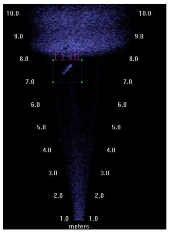 A Fish Target Identification and Counting Method Based on DIDSON Sonar and YOLOv5 Model