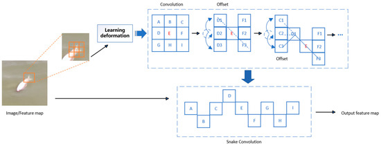 Dead Fish Detection Model Based on DD-IYOLOv8