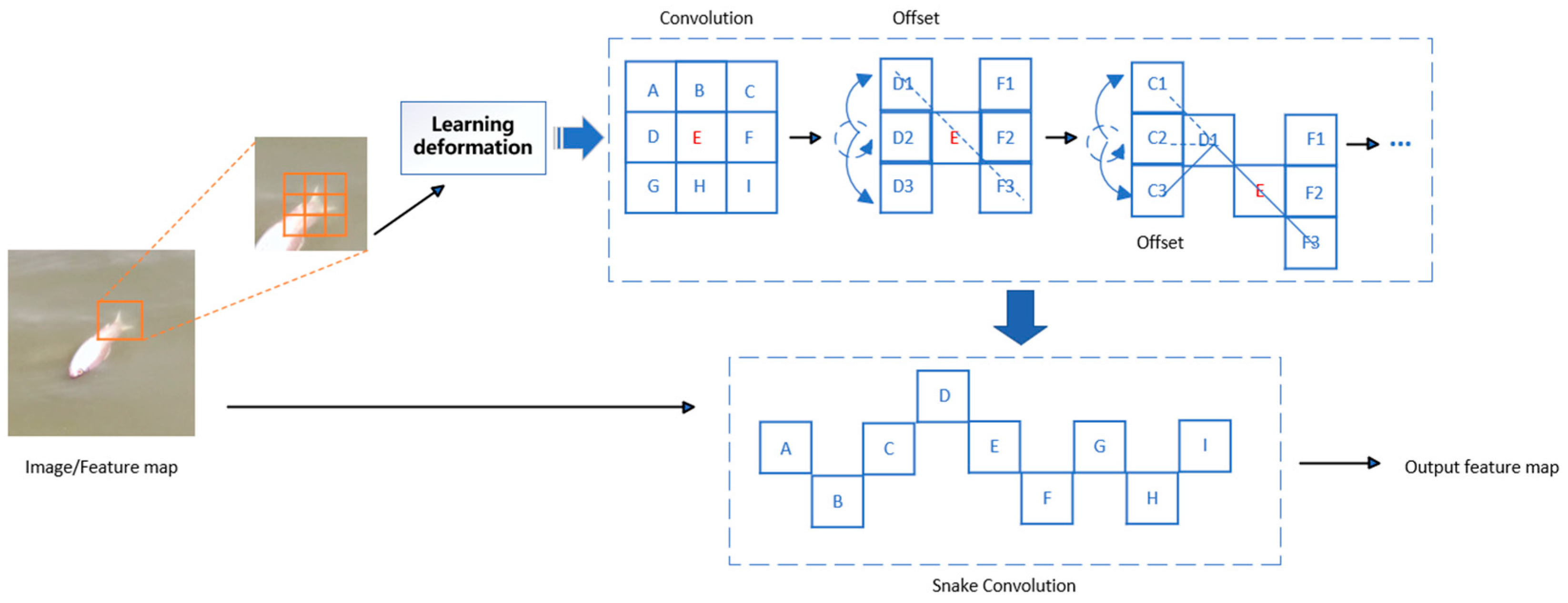 Dead Fish Detection Model Based on DD-IYOLOv8
