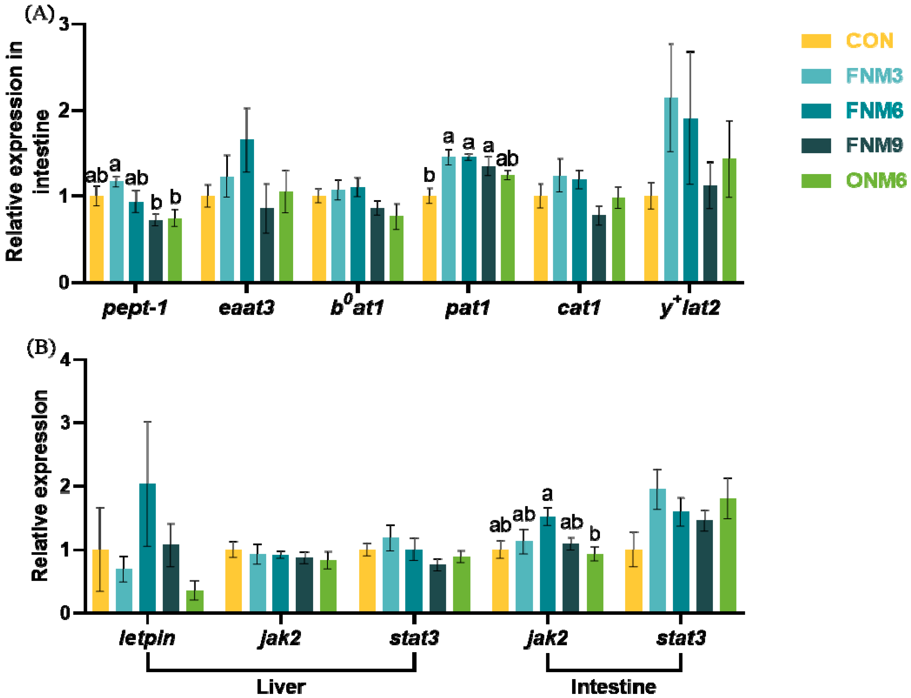 Effect of Low-Proportion Replacement of Dietary Fishmeal with Neanthes ...
