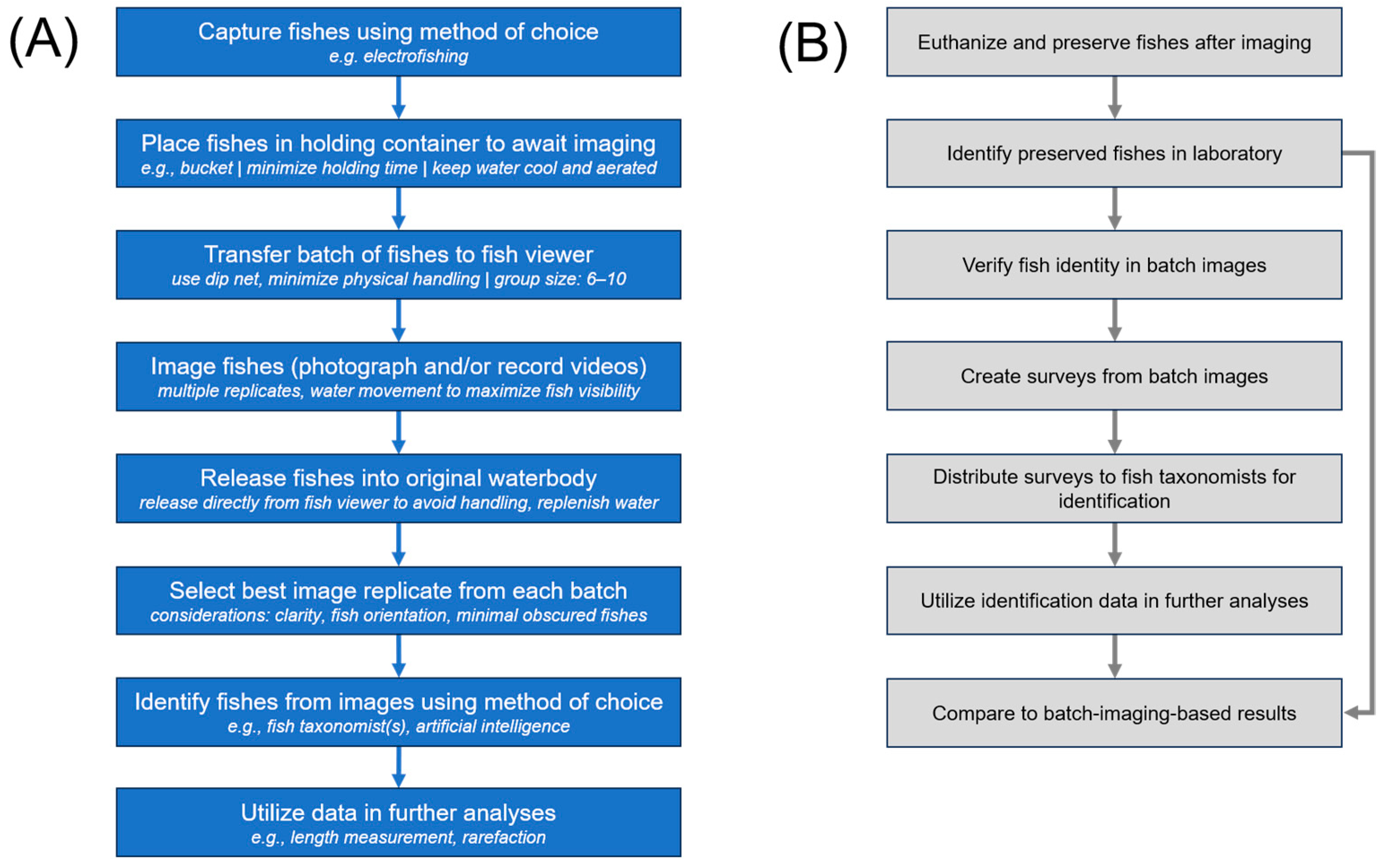 Evaluating Batch Imaging as a Method for Non-Lethal Identification of ...