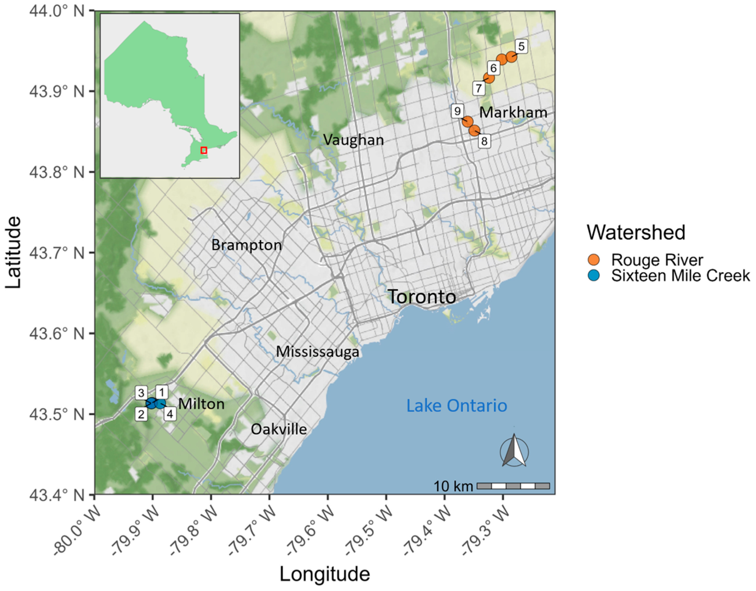 Evaluating Batch Imaging as a Method for Non-Lethal Identification of ...