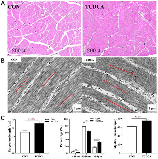 Taurochenodeoxycholic Acid Improves Growth, Physiology, Intestinal ...