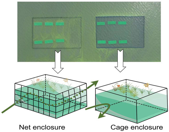 In Situ Ecological Floating Bed Remediation Alters Internal Trophic ...