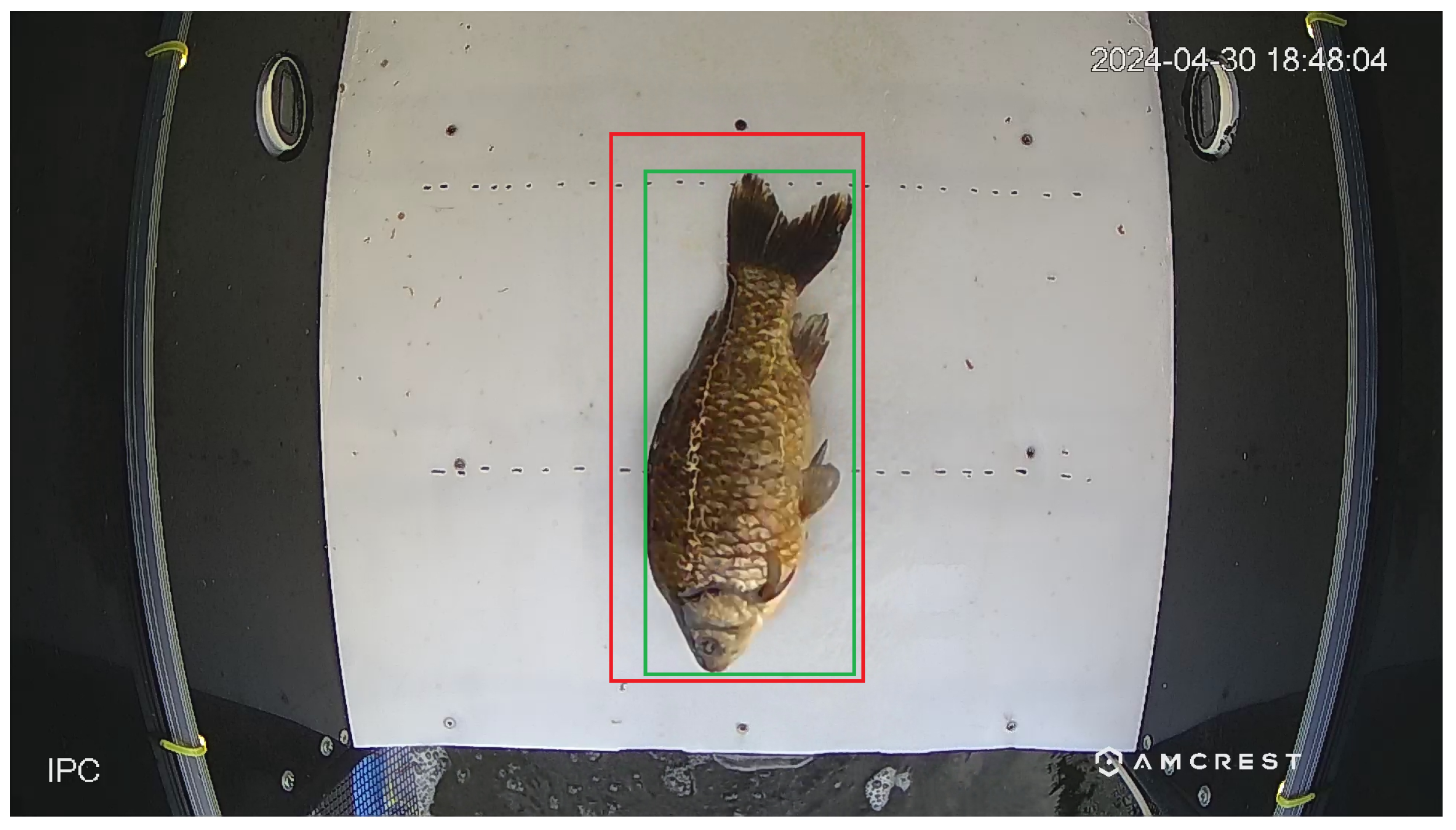 Advancing Fisheries Research and Management with Computer Vision: A ...