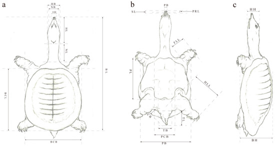 Investigation of Plasticity in Morphology, Organ Traits and Nutritional ...