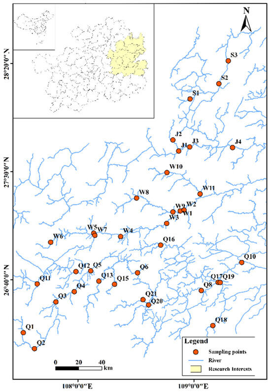 Environmental DNA Was Utilized to Assess Fish Diversity and Community ...