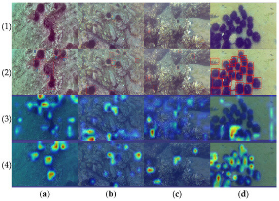 UM-YOLOv10: Underwater Object Detection Algorithm for Marine Environment Based on YOLOv10 Model