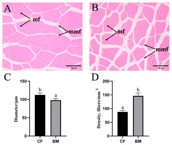 A Comparison of White Muscle Quality in Grass Carp Ctenopharyngodon ...