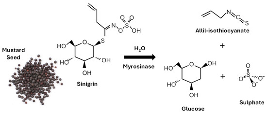 Effect of Allyl-Isothiocyanate Release from Black Mustard (Brassica ...