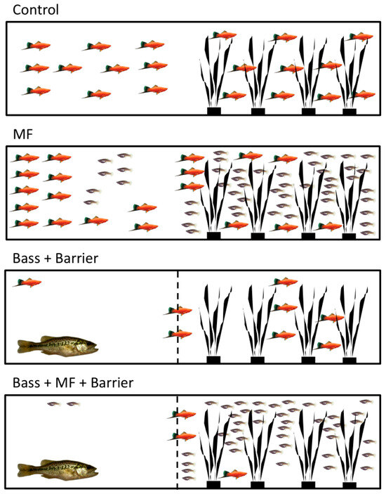 Facilitation and Interference Between Native Fishes Influence Invasion ...