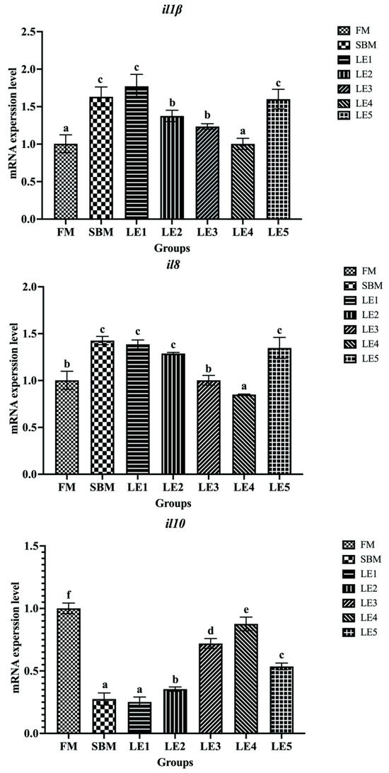 β,β-Dimethylacrylshikonin Alleviates Zebrafish (Danio rerio ...