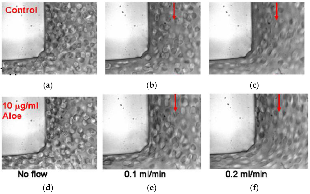 Natural Drag-Reducing Polymers: Discovery, Characterization and ...