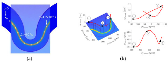 Two-Way Coupling Fluid-Structure Interaction (FSI) Approach to Inertial ...