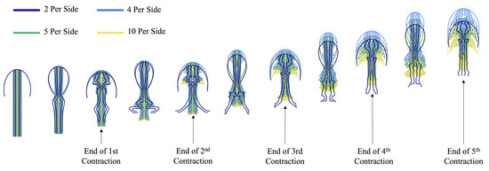 Naut Your Everyday Jellyfish Model: Exploring How Tentacles and Oral ...