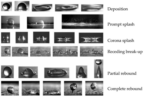 An Introduction of Droplet Impact Dynamics to Engineering Students