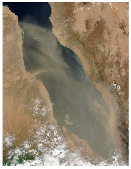 Fluids | Free Full-Text | Eulerian and Lagrangian Comparison of Wind ...