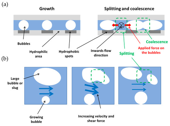 Fluids | Free Full-Text | Effect of Functional Surfaces with Gradient ...