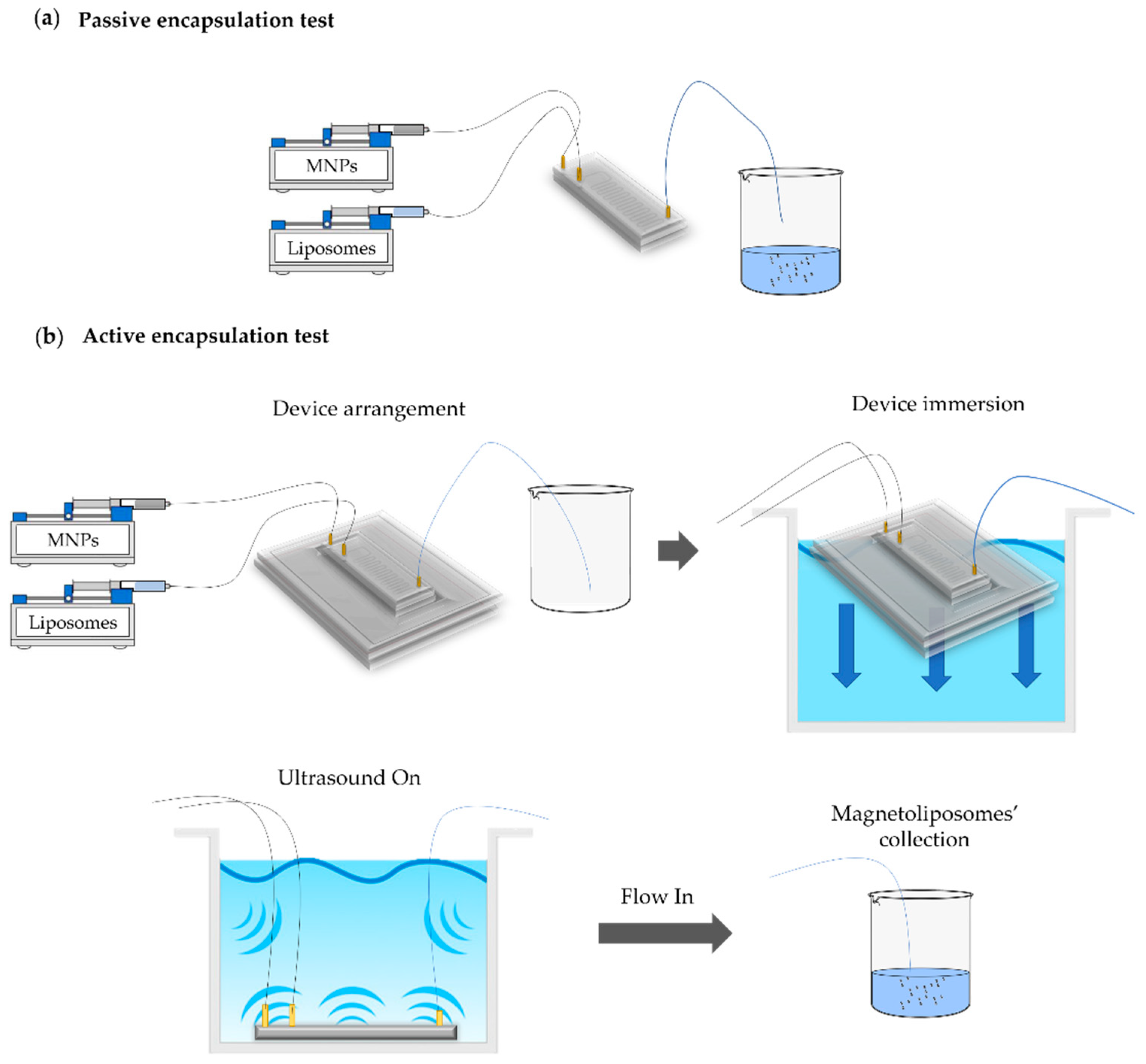 Microfluidics for Multiphase Mixing and Liposomal Encapsulation of ...