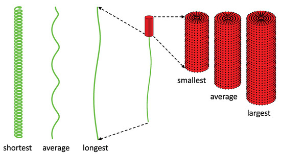 Using Experimentally Calibrated Regularized Stokeslets to Assess Bacterial Flagellar Motility ...