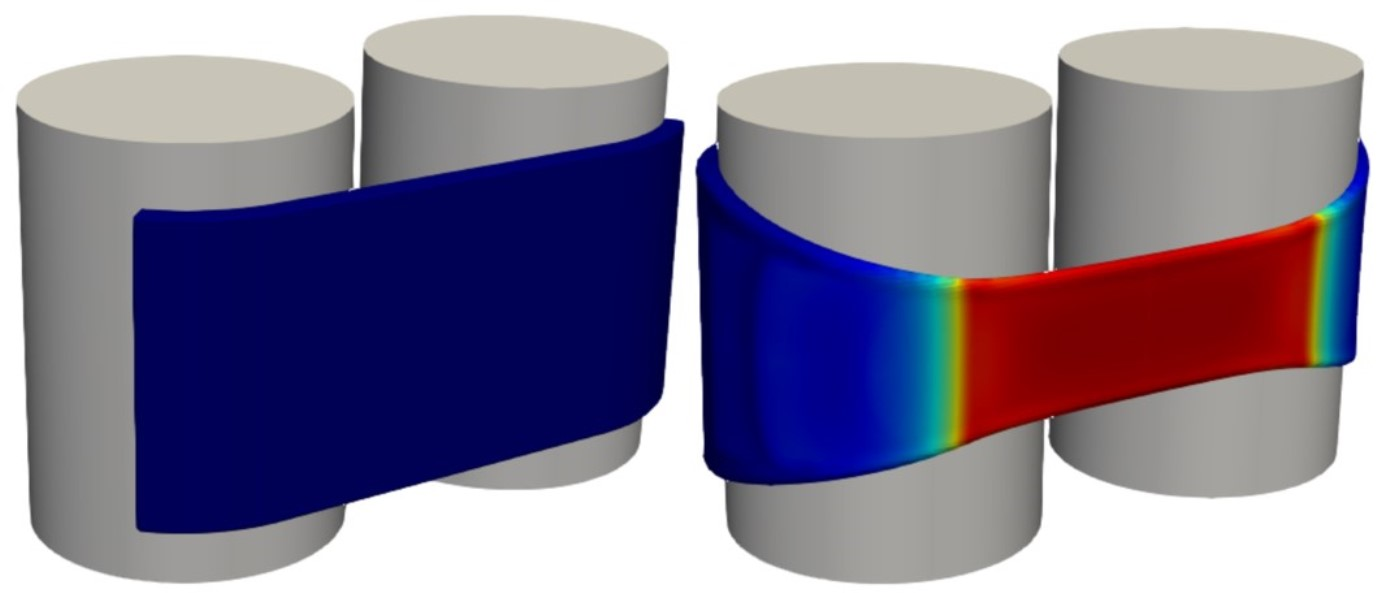 Fluids | Free Full-Text | Using Computational Modelling to Study ...
