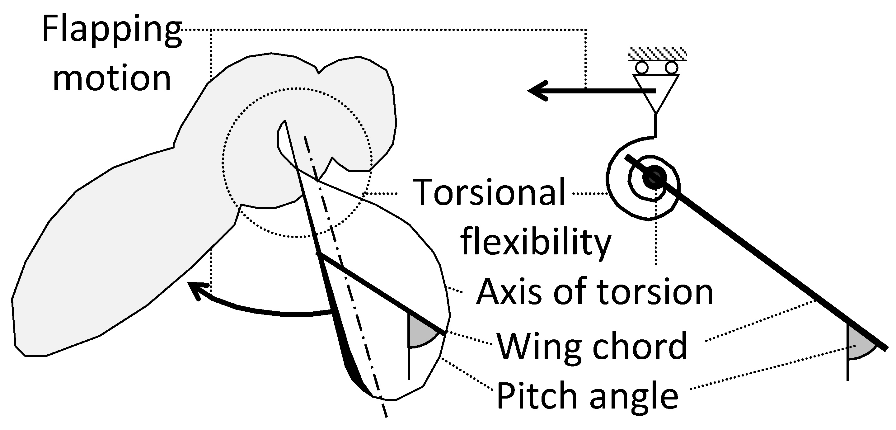 Computational Approach for the Fluid-Structure Interaction Design of Insect-Inspired Micro ...