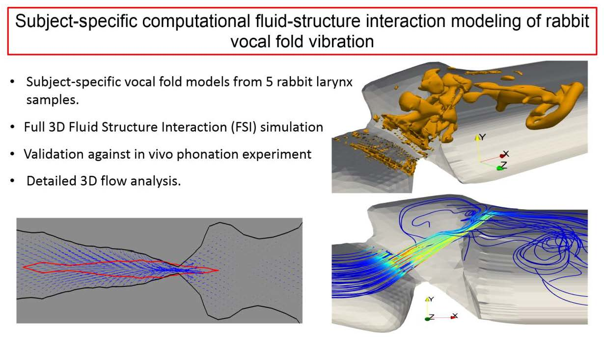 Fluids | Free Full-Text | Subject-Specific Computational Fluid ...