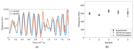 Fluids | Special Issue : Computational Biofluiddynamics: Advances and Applications