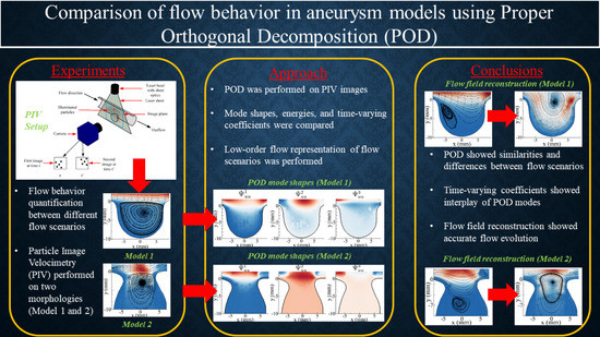 Fluids | Free Full-Text | Comparison of Flow Behavior in Saccular Aneurysm Models Using Proper ...