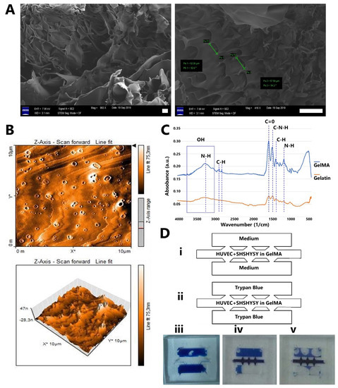 Fluids | An Open Access Journal from MDPI