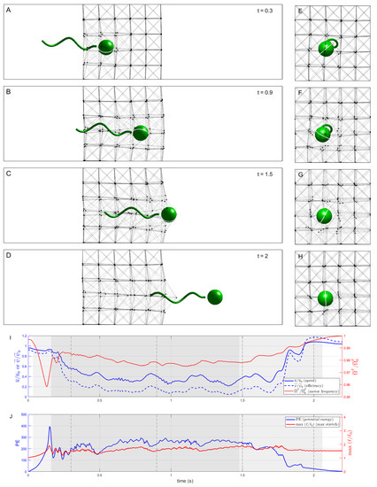 Fluids | An Open Access Journal from MDPI