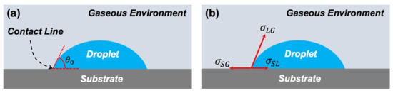 Fluids | Free Full-Text | Physics of Dynamic Contact Line ...