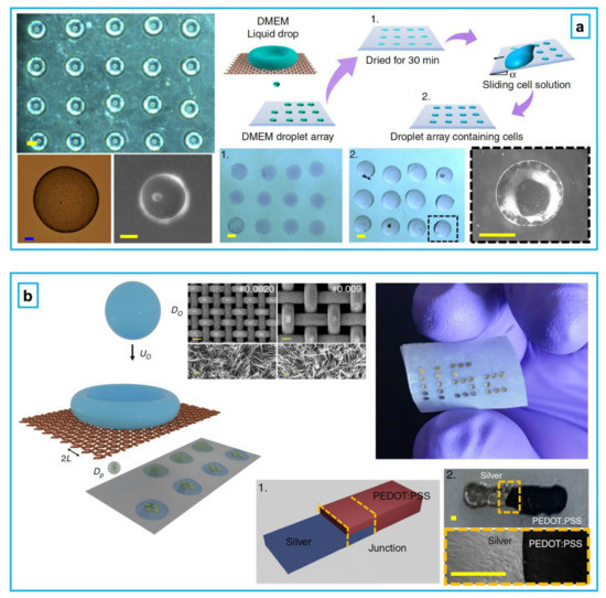 Fluids | Free Full-Text | Physics of Dynamic Contact Line ...