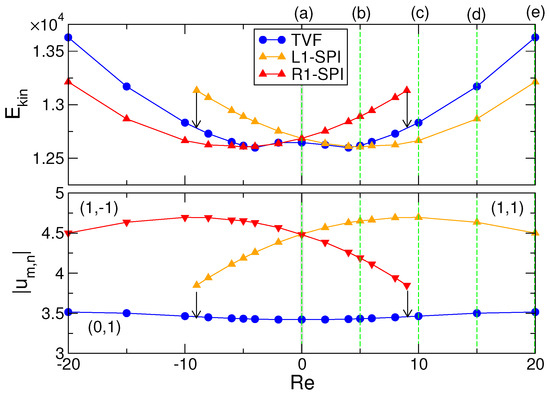 Effect of Axial and Radial Flow on the Hydrodynamics in a Taylor Reactor