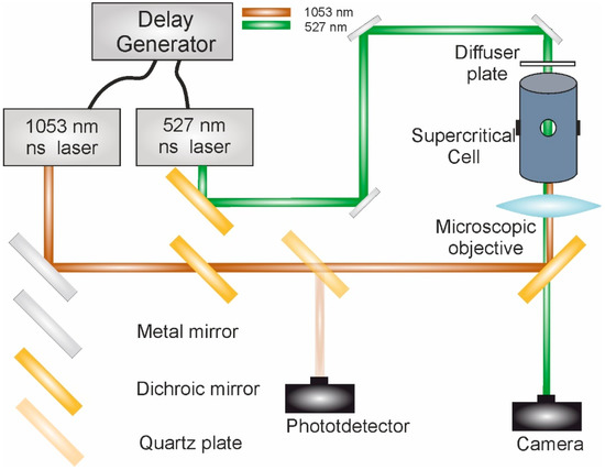 Dynamics of Laser-Induced Shock Waves in Supercritical CO2