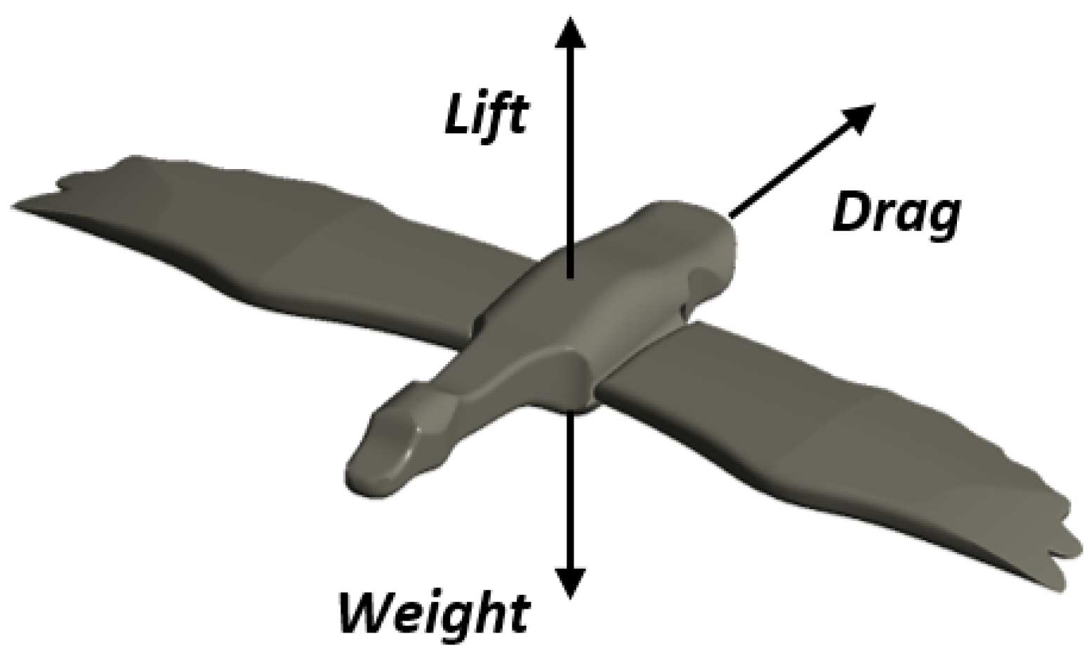 Fluids | Free Full-Text | Aerodynamic Interaction of Migratory Birds in ...