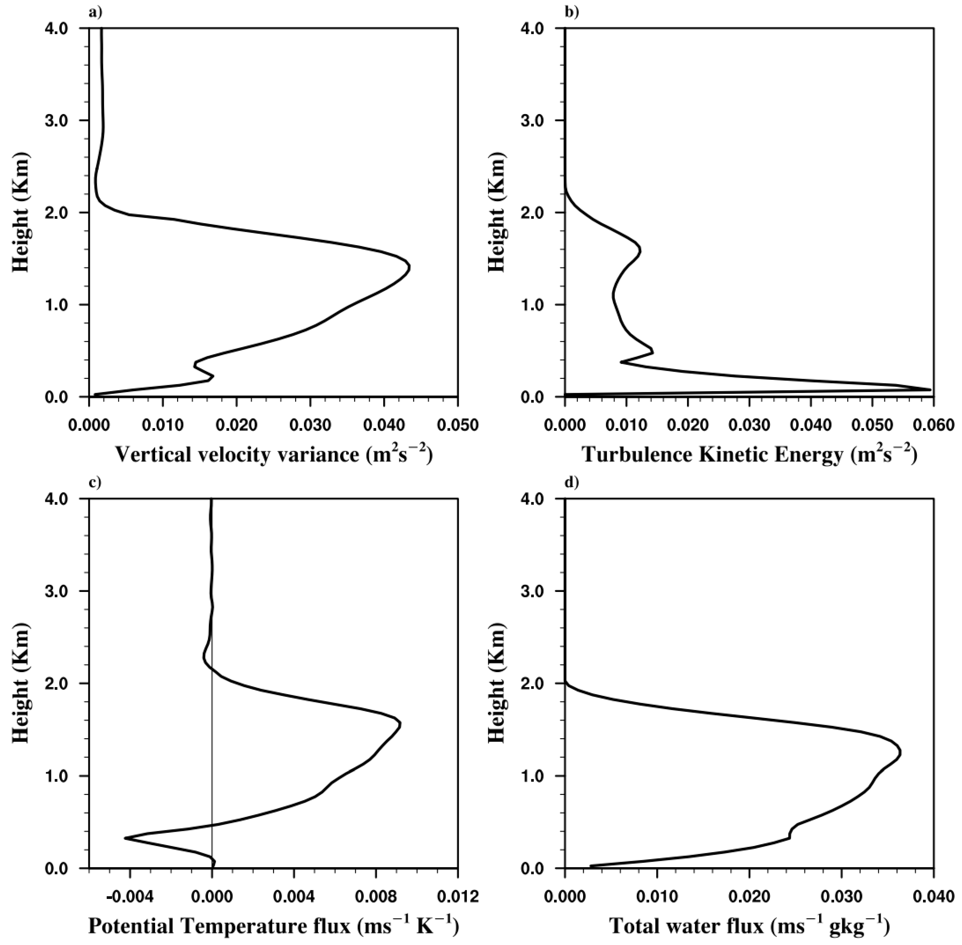 Understanding Atmospheric Convection Using Large Eddy Simulation