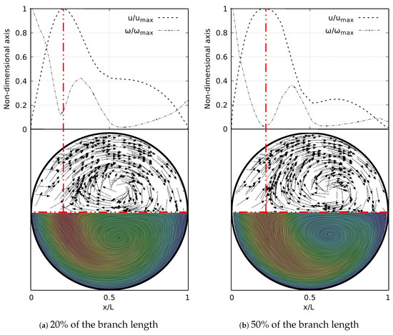 Influence of Morphological Parameters on the Flow Development within ...