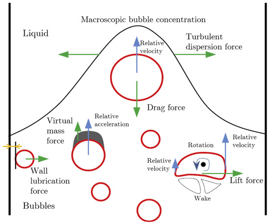 Fluids Free Full Text Computational Fluid Dynamics Modelling Of Two Phase Bubble Columns A