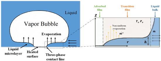 Fluids | Free Full-Text | Thin Film Evaporation Modeling of the Liquid Microlayer Region in a ...