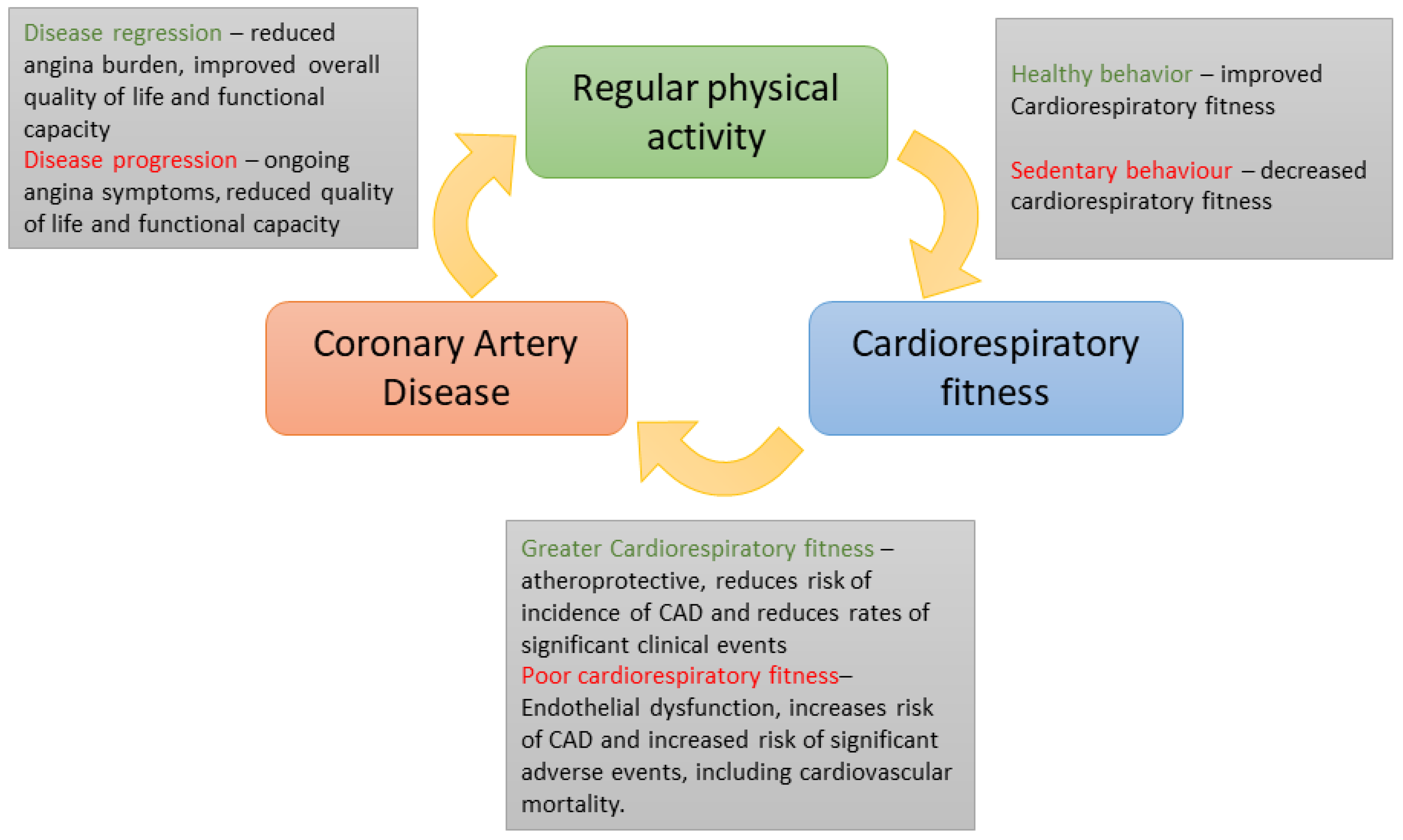 Modelling The Hemodynamics of Coronary Ischemia