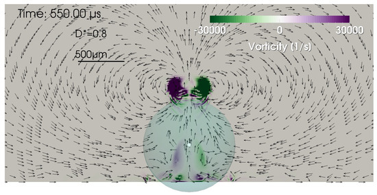 Ring Vortex Dynamics Following Jet Formation of a Bubble Expanding and ...