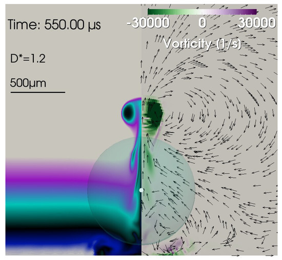 Ring Vortex Dynamics Following Jet Formation of a Bubble Expanding and ...