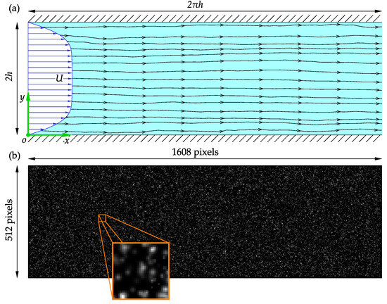 Fluids | Free Full-Text | An Enhanced Python-Based Open-Source Particle Image Velocimetry ...
