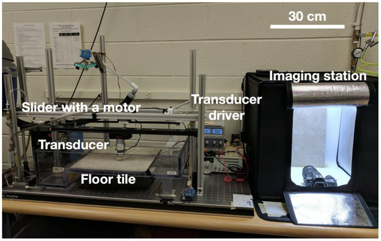 Ultrasonic Bubble Cleaner as a Sustainable Solution