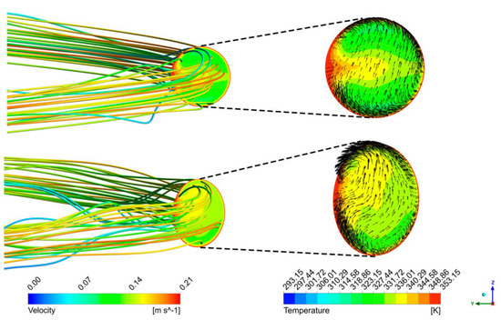 Fluid Flow in Helically Coiled Pipes
